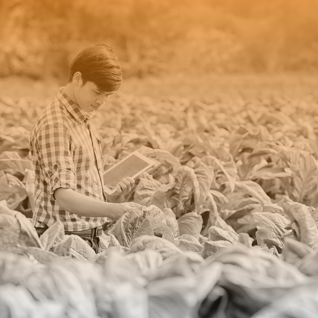 Calibration of Heat Stress Devices – HAS Calibration